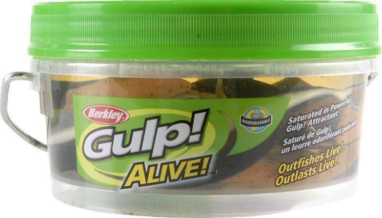 Berkley Assorted Shrimp Bait Bucket Gulp Alive 3'' - Ideal For ...