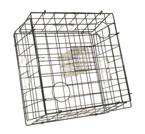 Danielson 24'' Square Glow Crab Trap Fold Up - Folds Flat For Storage ...