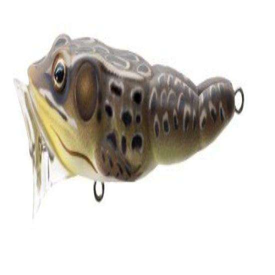 Live Target Green/Yellow Frog Popper .5 Ounce - Realistic Life Like ...