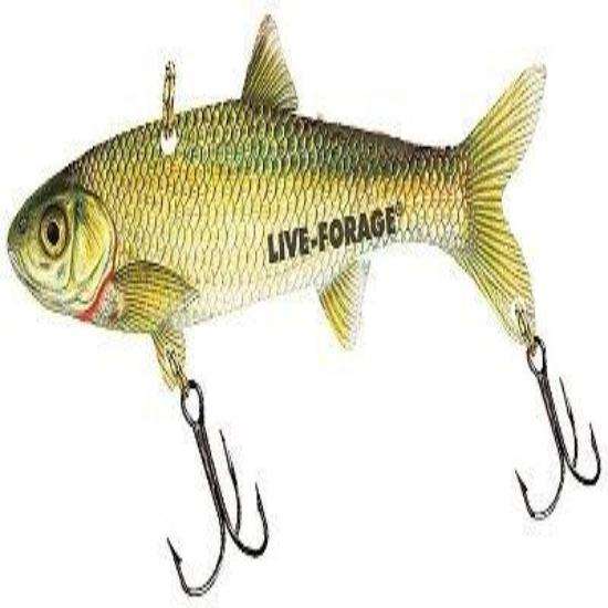 Northland Live Forage Series Fish Fry Minnow Trap - Fishing Accessory ...