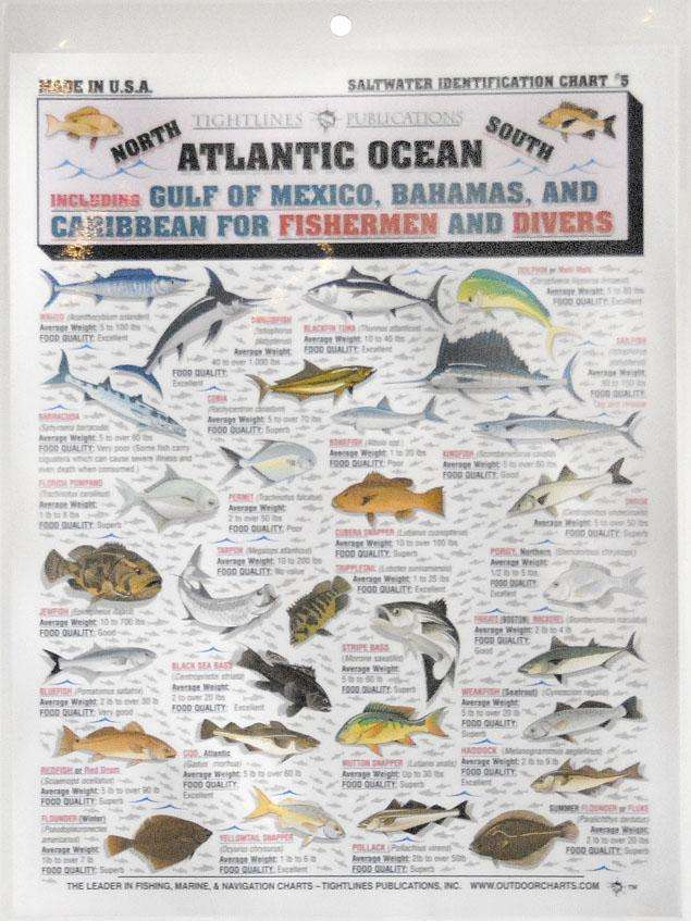 Tightline Publications How To Catch"Em" Saltwater Chart #5 - Detailed ...