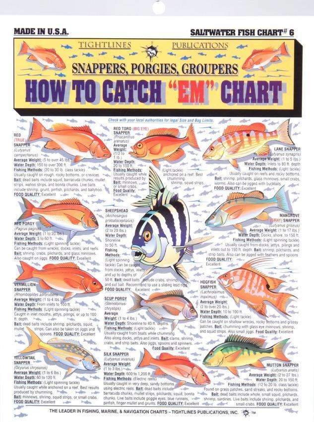 Tightline Publications Snapper/Porgie/Grouper Chart #6 - High Quality ...